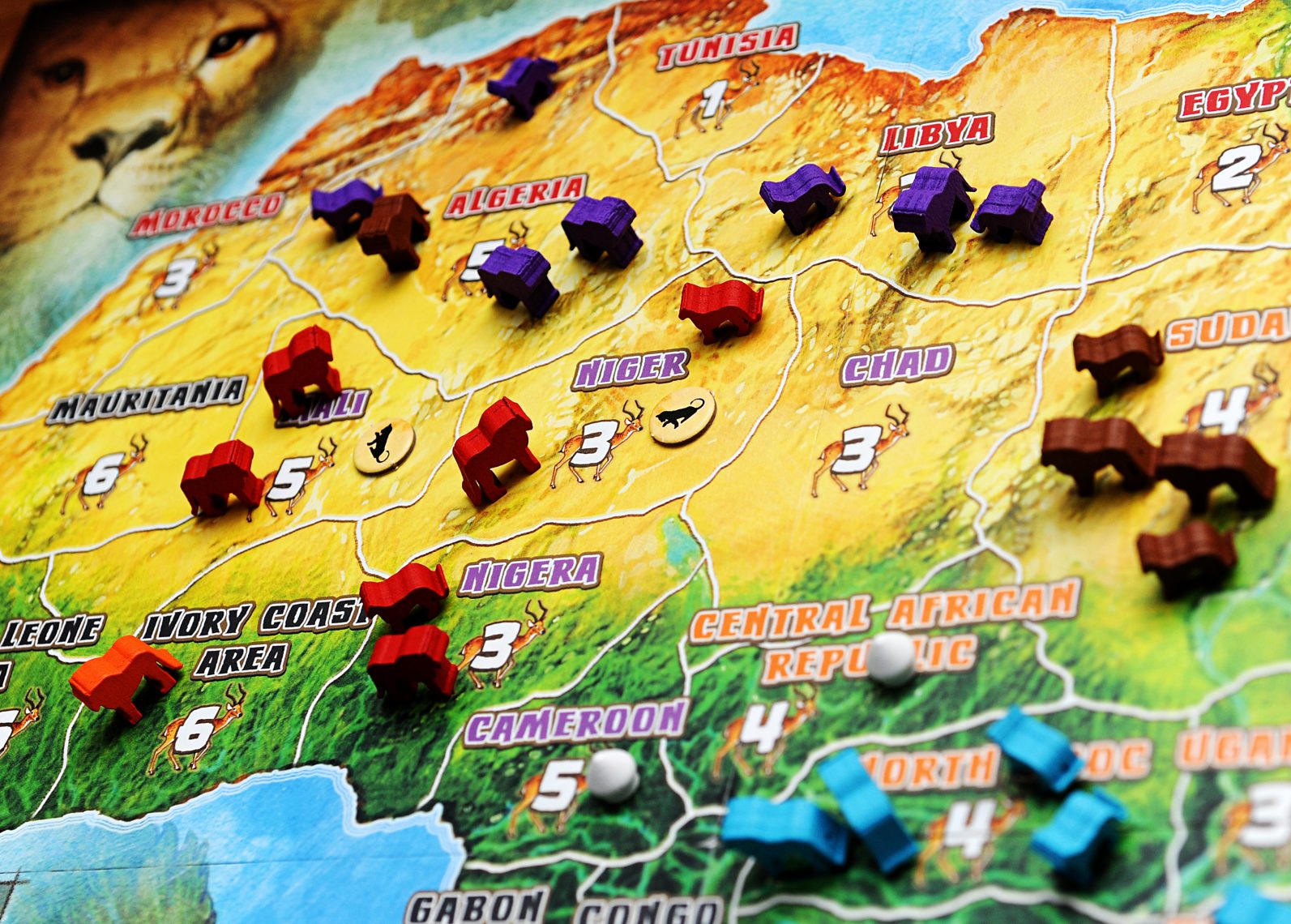 Roar: Out of Africa » The Daily Worker Placement