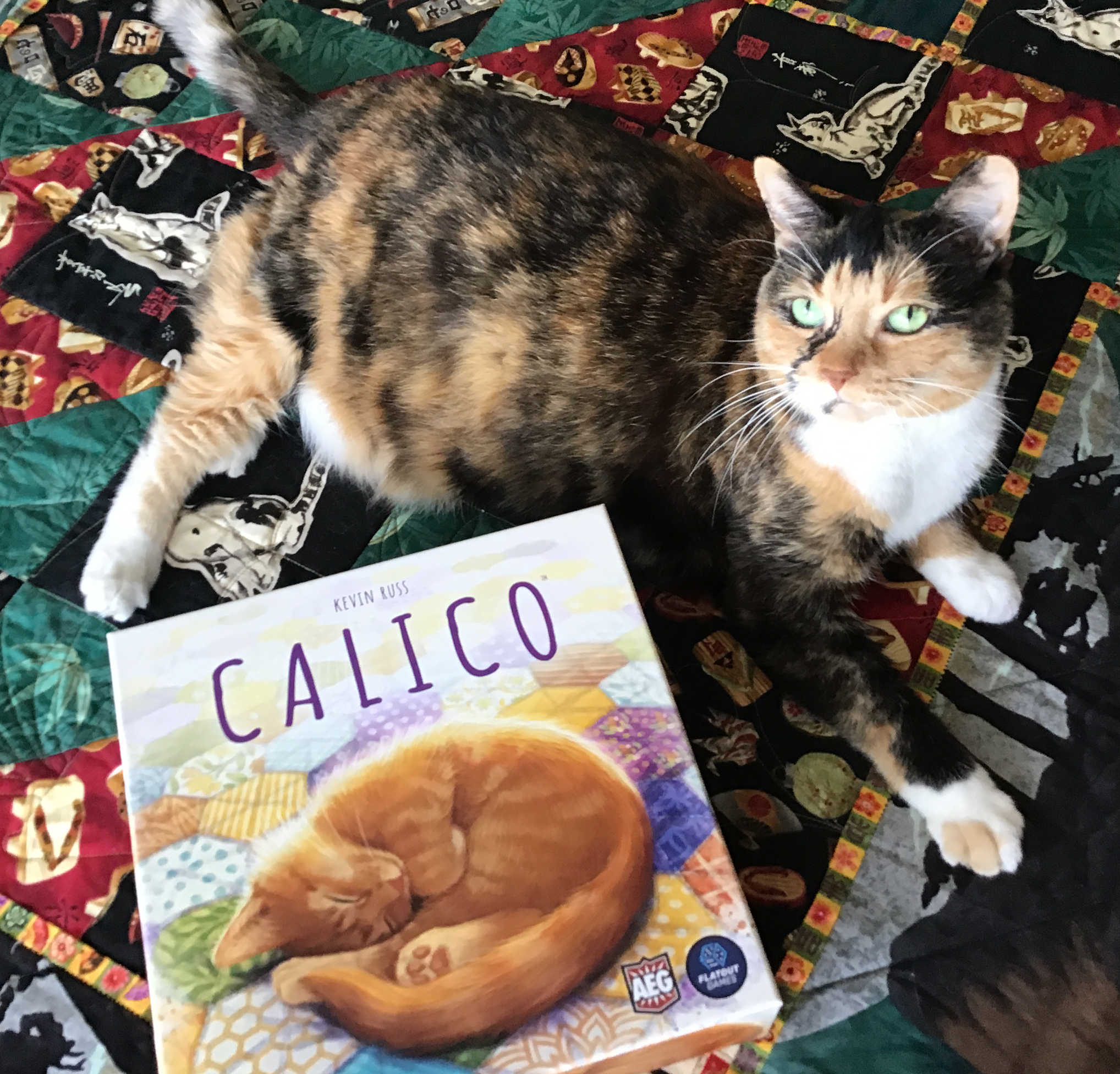 Calico Instant Tutorial Video » The Daily Worker Placement